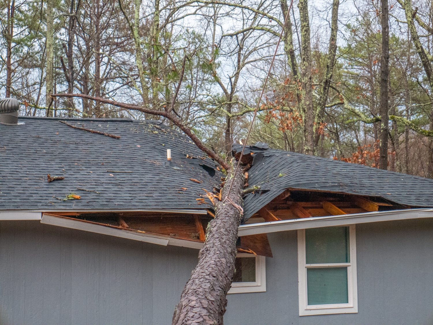 Is It Time To Repair Or Replace Your Roof? (What To Look For)