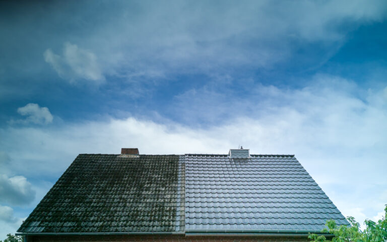 How To Clean A Shingle Roof? (Homeowners Guide)
